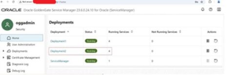 Oracle Database On-Premises to Azure Data Lake Storage for Microsoft ...